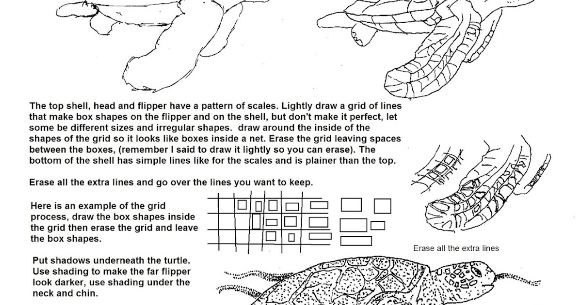 How to Draw Worksheets for The Young Artist: Free Printable How to Draw ...