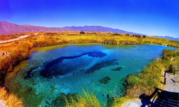 Biodiversidad en México: Biodiversidad en México