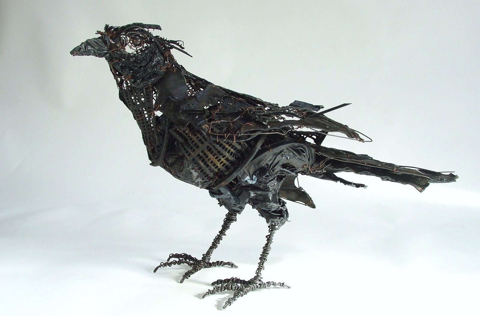 the art room plant: Barbara Franc