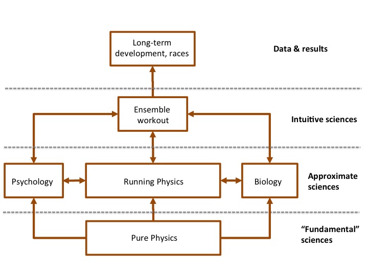 running commentary?: Science of running: a hierarchy