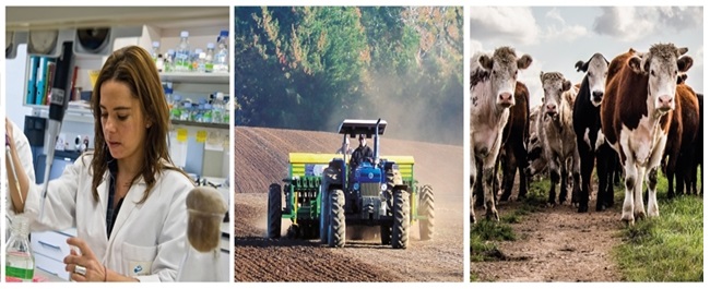 FONTAGRO anuncia la convocatoria 2018 para el escalamiento de ...