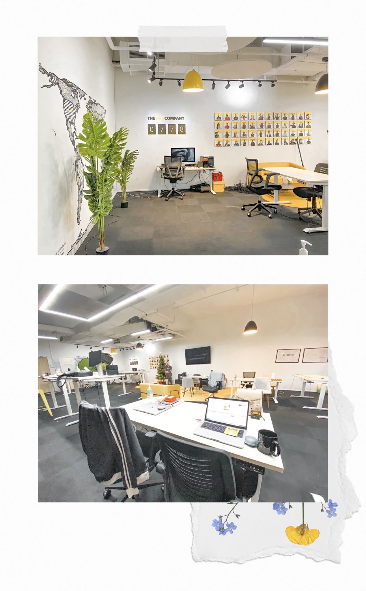 My Internship At Nas Daily Part One: What It's Like - Faithfullyours