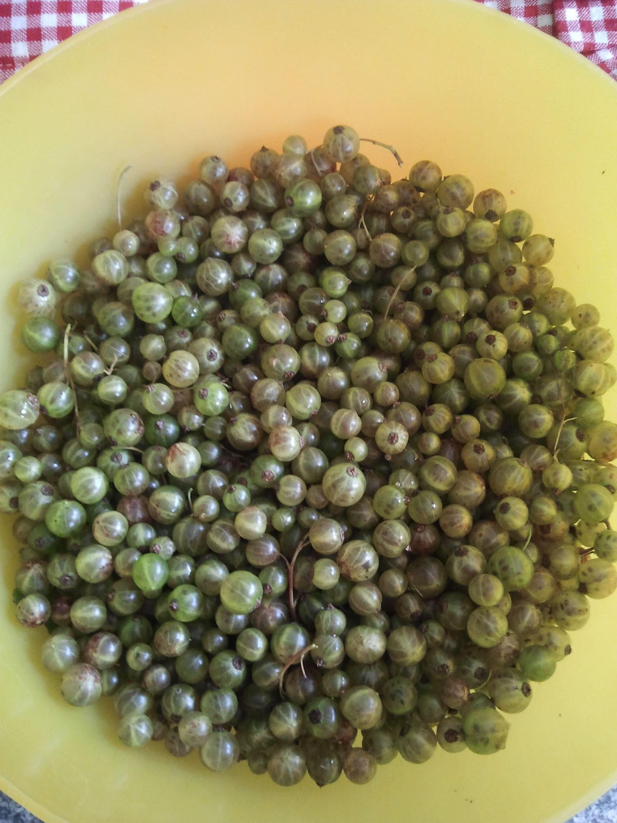 käsityöläisen kotona: Vihreä viinimarja