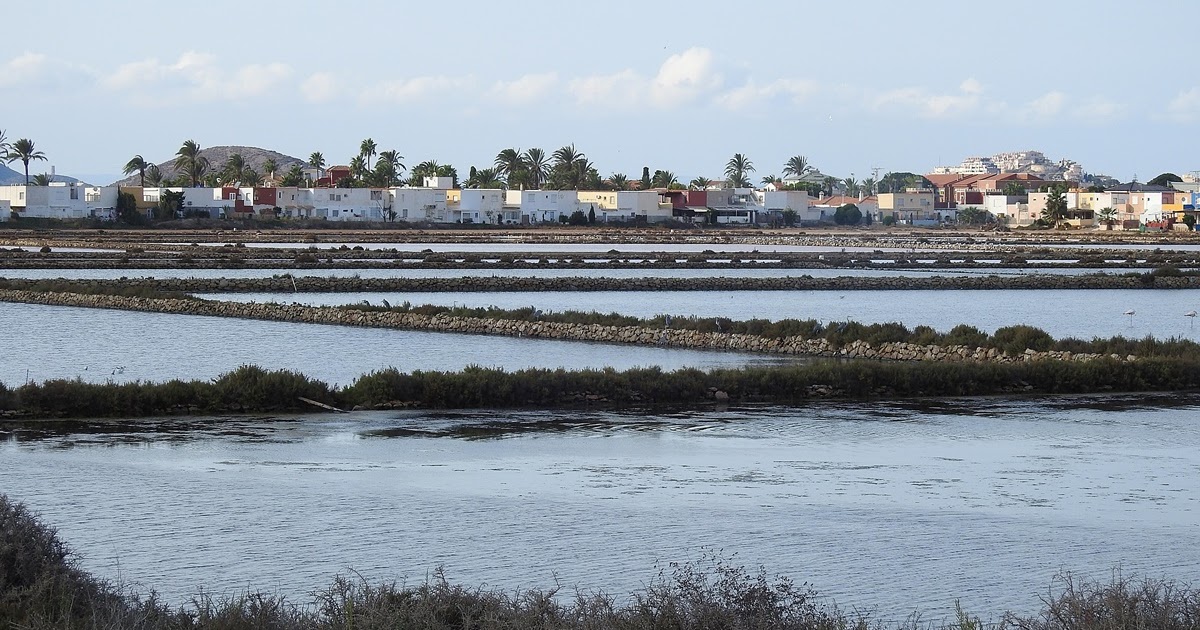 SaLiDaS a La NaTuRaLeZa: Salinas de Marchamalo