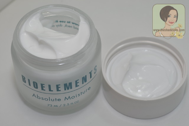 Bioelements Skincare Review: Oil Control Mattifier and Absolute ...