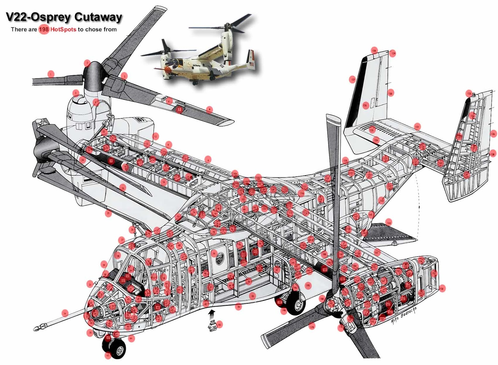 Bell Boeing V-22 Ospey - World Military Photos - ARMY - NAVY - AIR FORCE