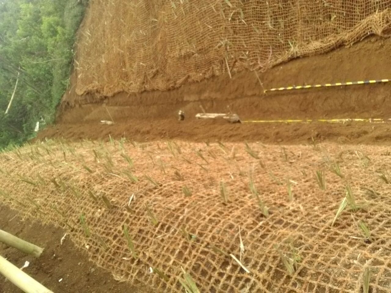0857 2629 3745, Jual Coir Mesh Netting: Pusat Produksi Cocomesh Waropen ...