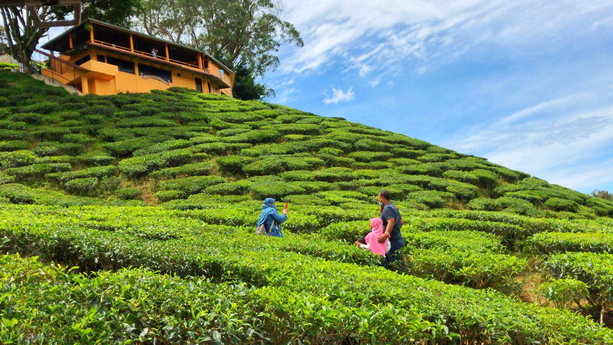 Lensa Pijut: Cameron Valley Tea House 1 :: Cameron Highland #PKPP