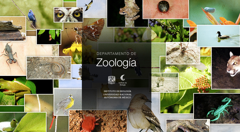 botanica: zoología