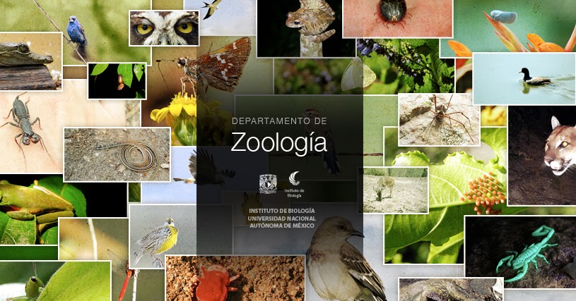 botanica: zoología