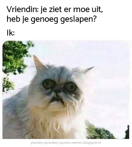 Plaatjes met grappige quotes en afbeeldingen met mooie spreuken om te ...