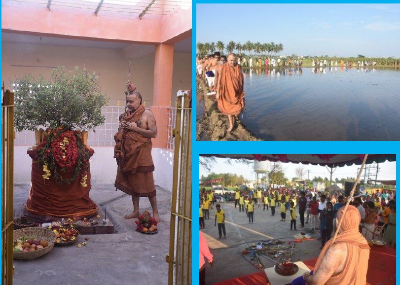 KANUM PONGAL VIZHA BEING CELEBRATED BY KANCHI SANKARA MATAM