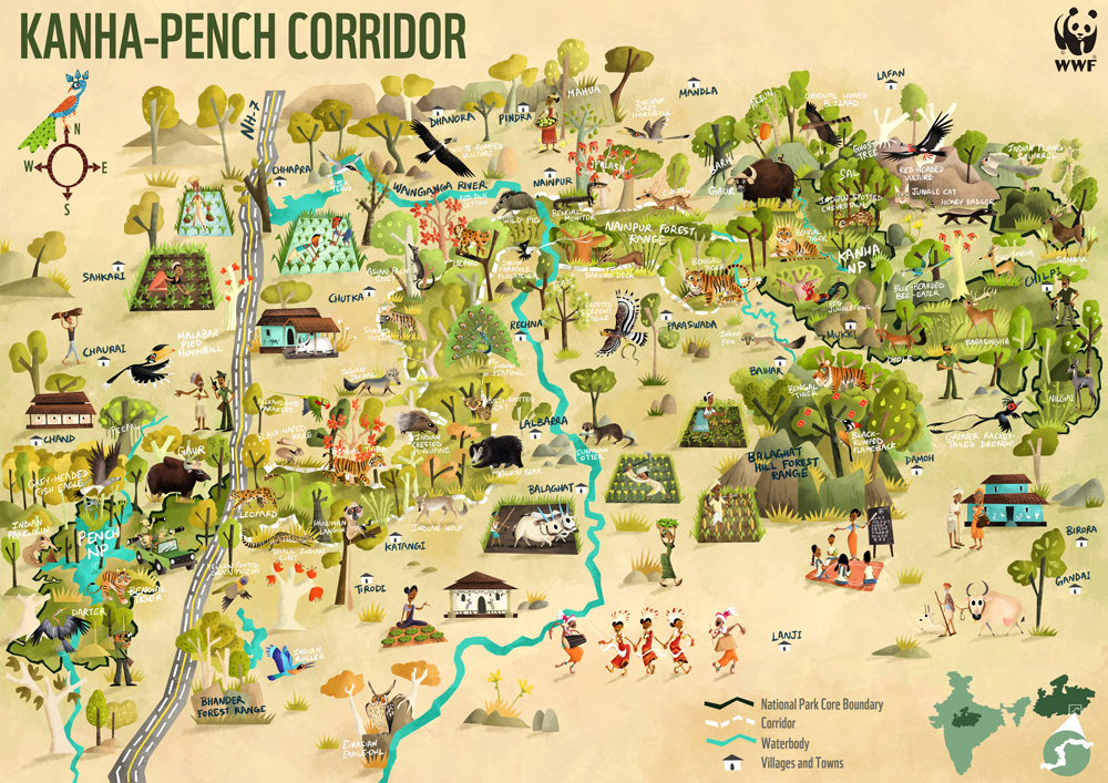 Green Humour: Kanha Pench Corridor- an Illustrated Map