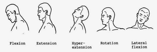 lupita pardosi: Gerakan ROM (Range Of Motion) , Nursing :)