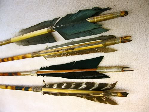 Cardio Trek - Toronto Personal Trainer: Arrow Fletching - Kinds and Shapes