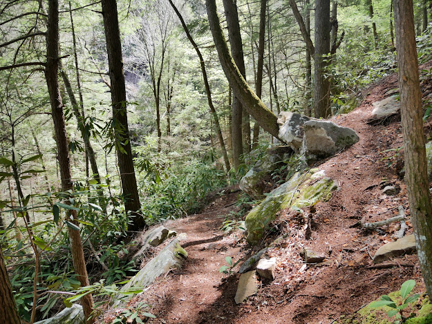 American Travel Journal: Bridge Trail and Lilly Bluff Overlook - Obed ...