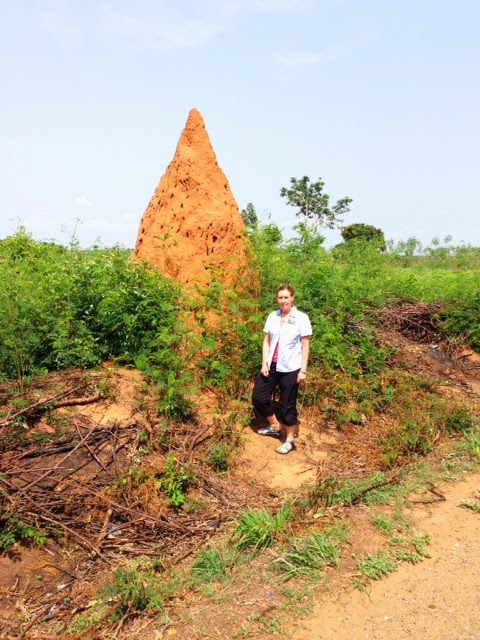 Ghana MTC: Termite Towers