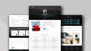 Robin - Portfolio Landing Page Template