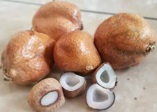 Don't Hesitate Again, Many Benefits of Doum Fruit for Health - Breaking ...