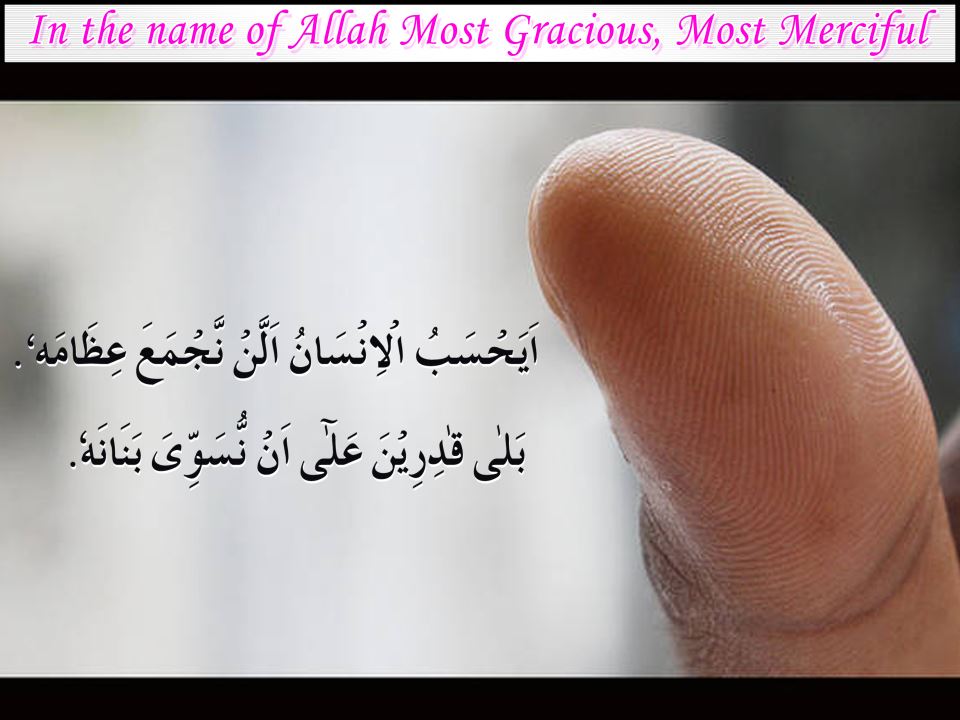 Qur'an and Sunnah Our Way to Jannah Qur'an and Sunnah Our Way to Jannah