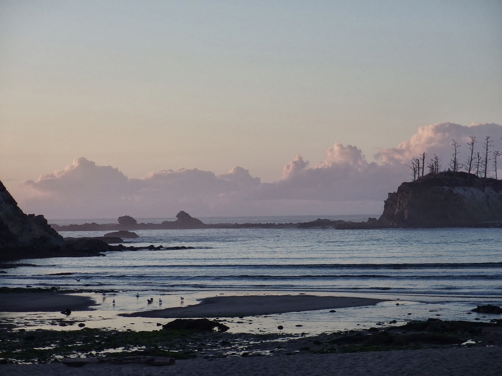 Have 1 Airstream Will Travel: Sunset Beach State Park, Southern Coast ...