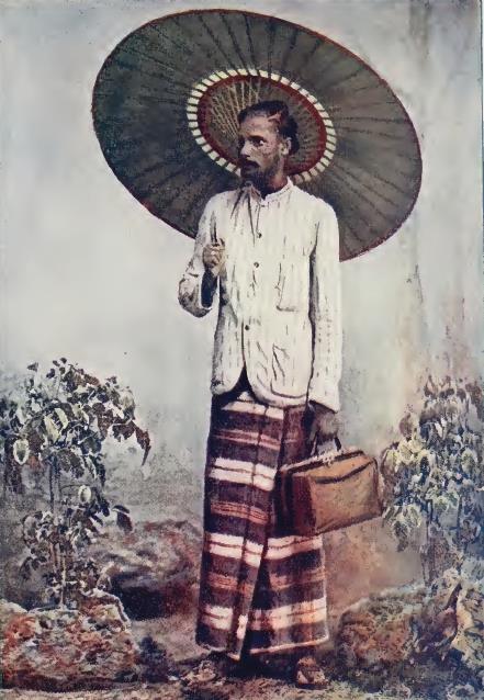 El Blog De Tuico: TUICO