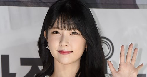 Hyemi feels sorry to fans for the member leaves in Nine Muses