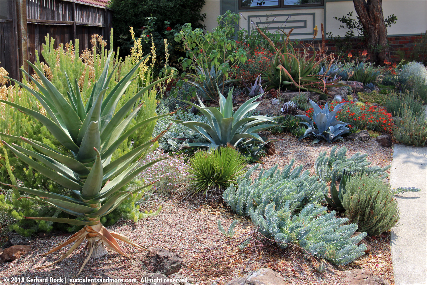 Around the world on 6,000 sq.ft.: Brian's miniature botanical garden