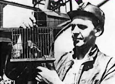 Thisness of a that: Canary in the coal mine