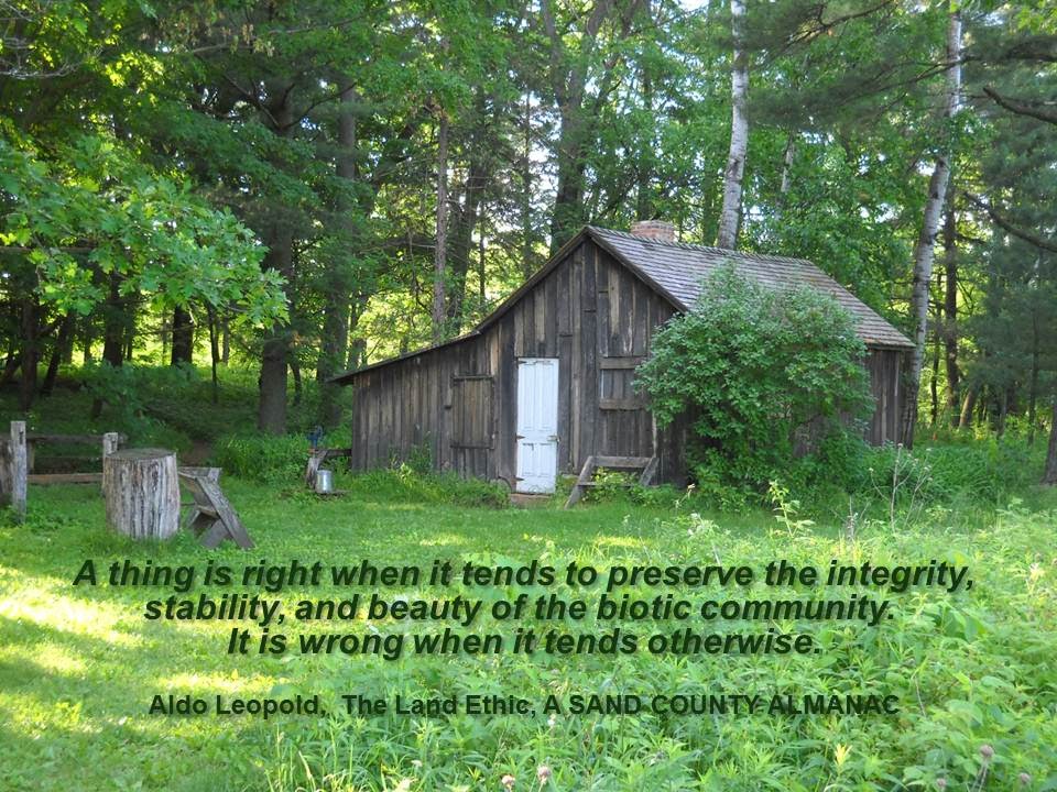 Ecological Leadership: The Land Ethic