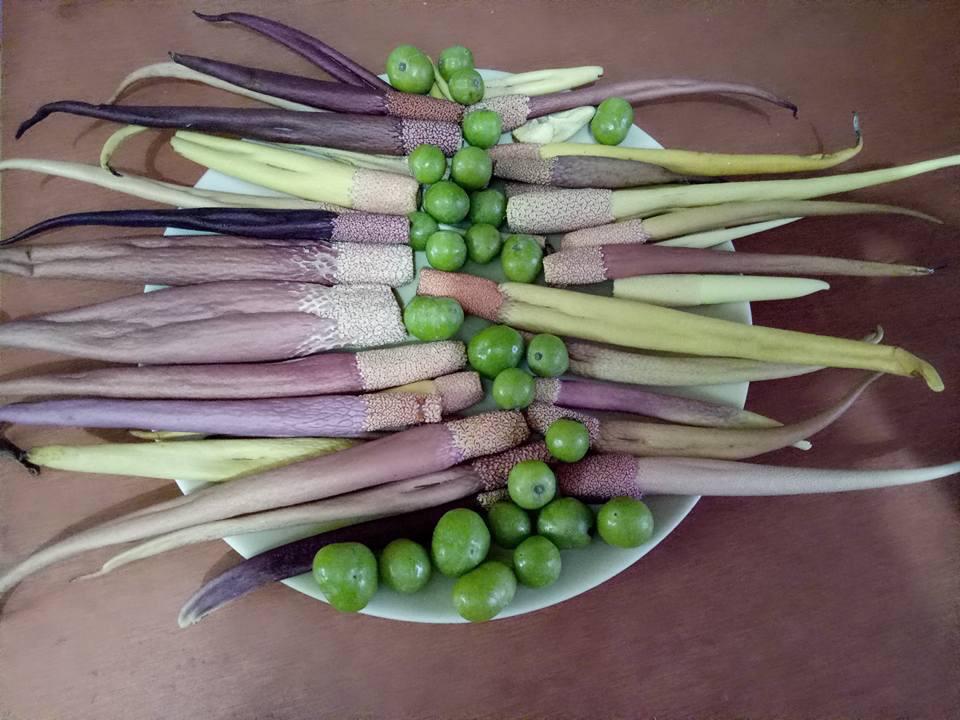 Rushina Munshaw Ghildiyal: Seasonal Eating – Monsoon’s foraged ...