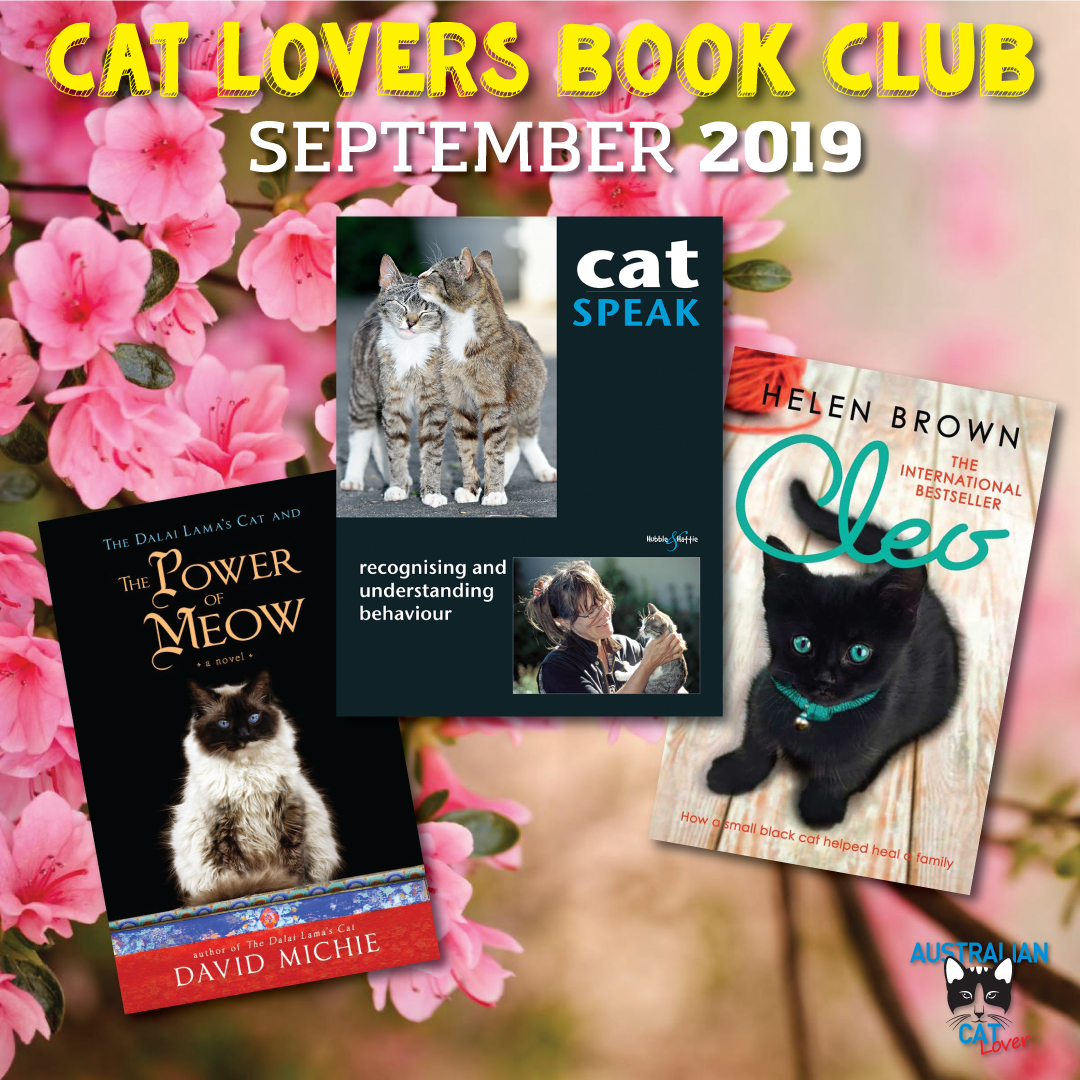 Cat Lovers Book Club - September 2019 | Australian Cat Lover