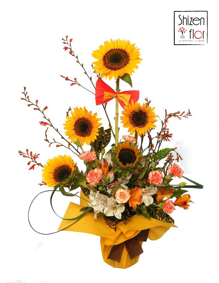 Shizen Flor: Arreglo Shizen Sun