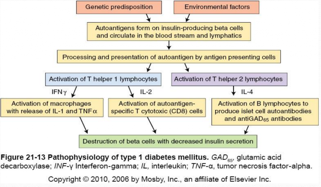 Diabetes Mellitus - Etiologi dan Klasifikasi sampai Tatalaksana Umum