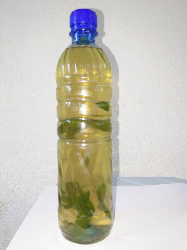 MyHerbs4u: MY TEH O (TEH RERAMA PLUS)