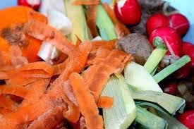 bioeducation: Activity on biodegradable and non-biodegradable substances