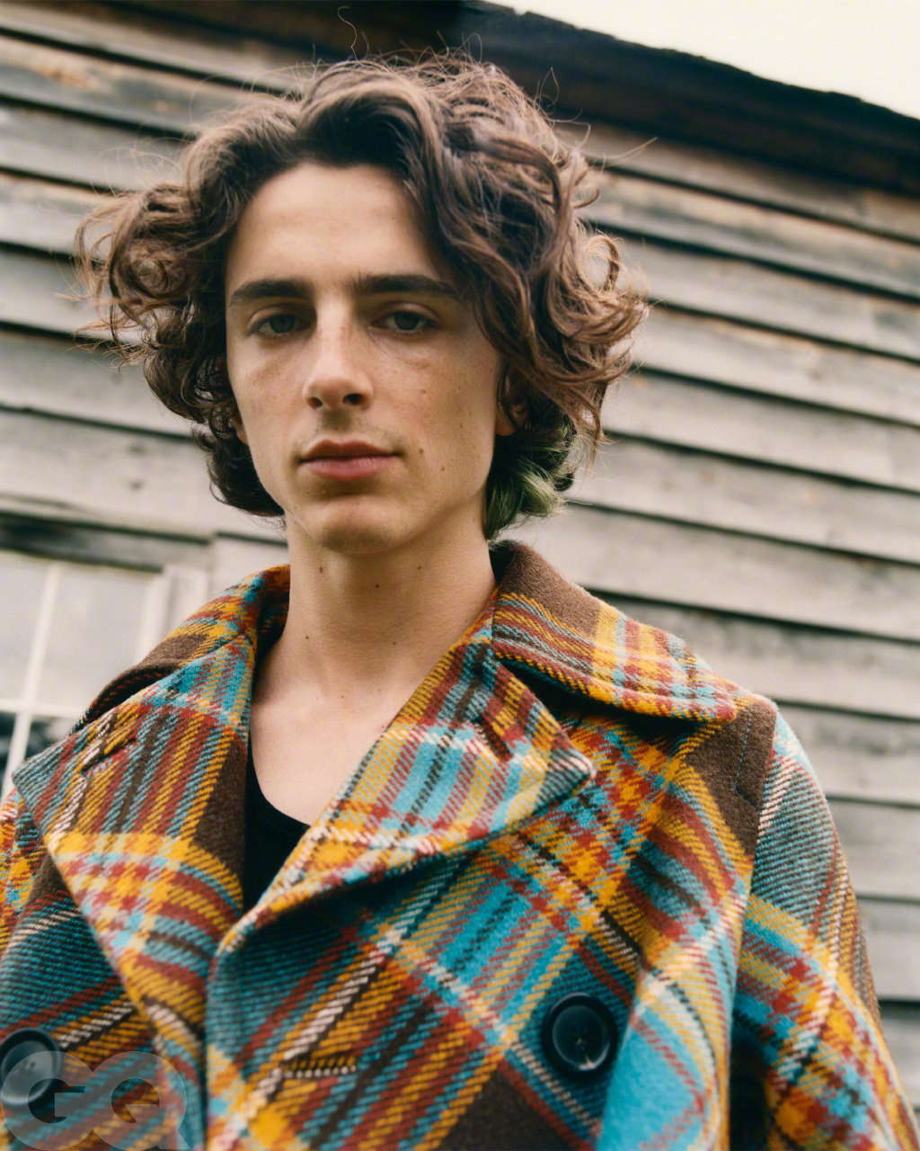 Timothée Chalamet para GQ USA en fotos de Renell Medrano Timothée Chalamet para GQ USA en fotos de Renell Medrano