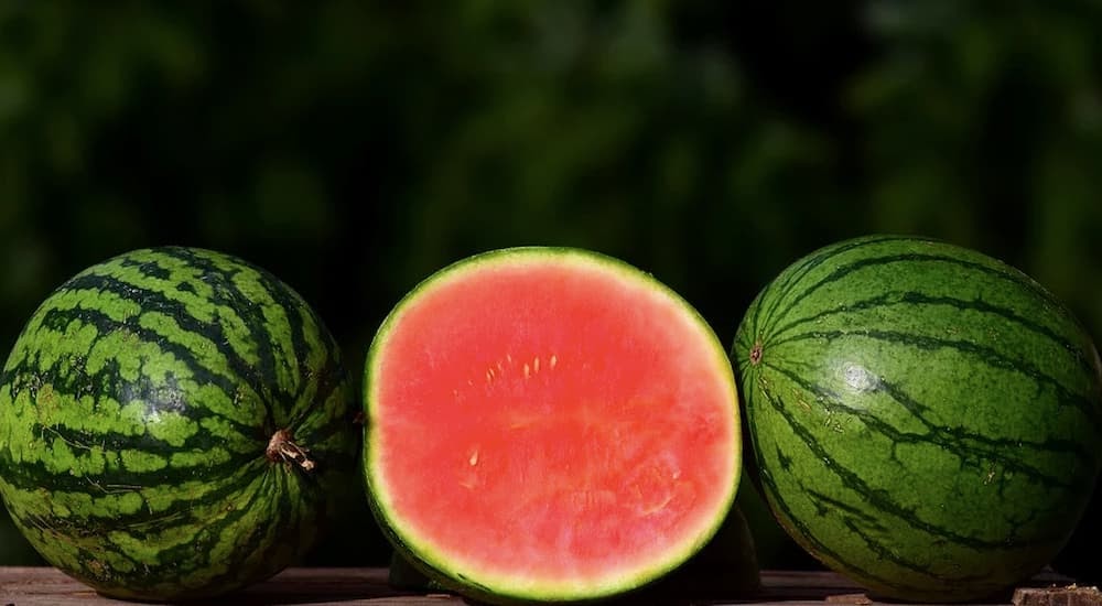 Greek Watermelon Exports