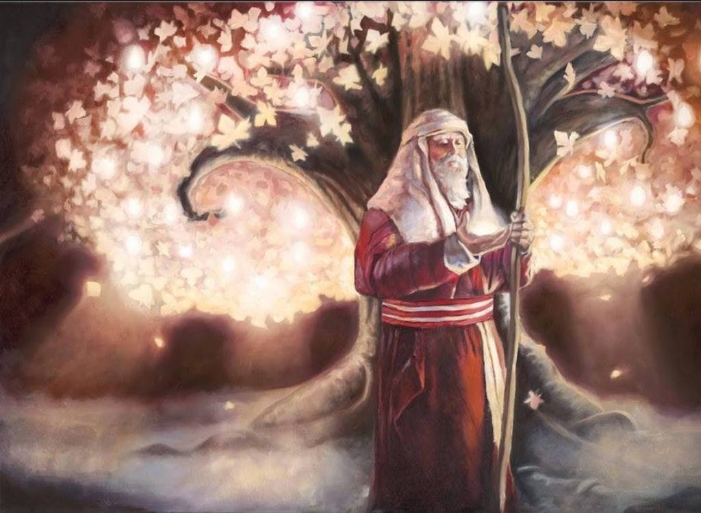 ScriptureSight: The Tree of Life