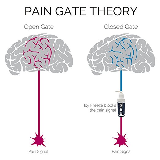 EXAMS AND ME : Gate Control Theory