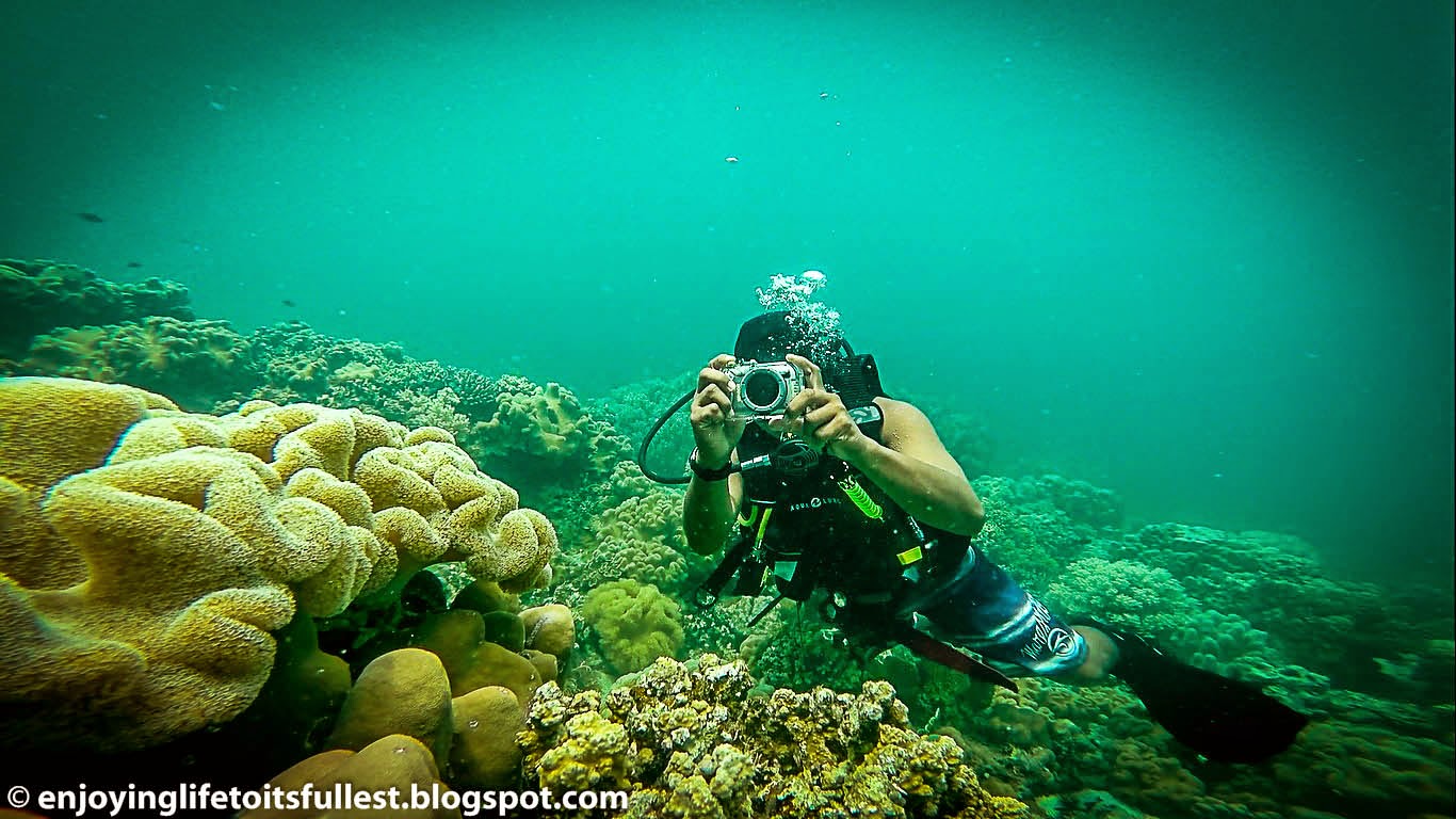 ALventureBlogs: Samal Island Adventure: Intro-Scuba Dive