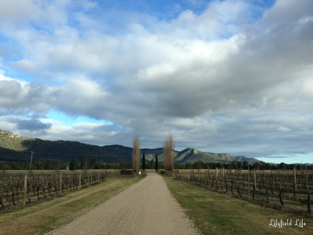 Lilyfield Life: Tinonee Estate in The Hunter Valley