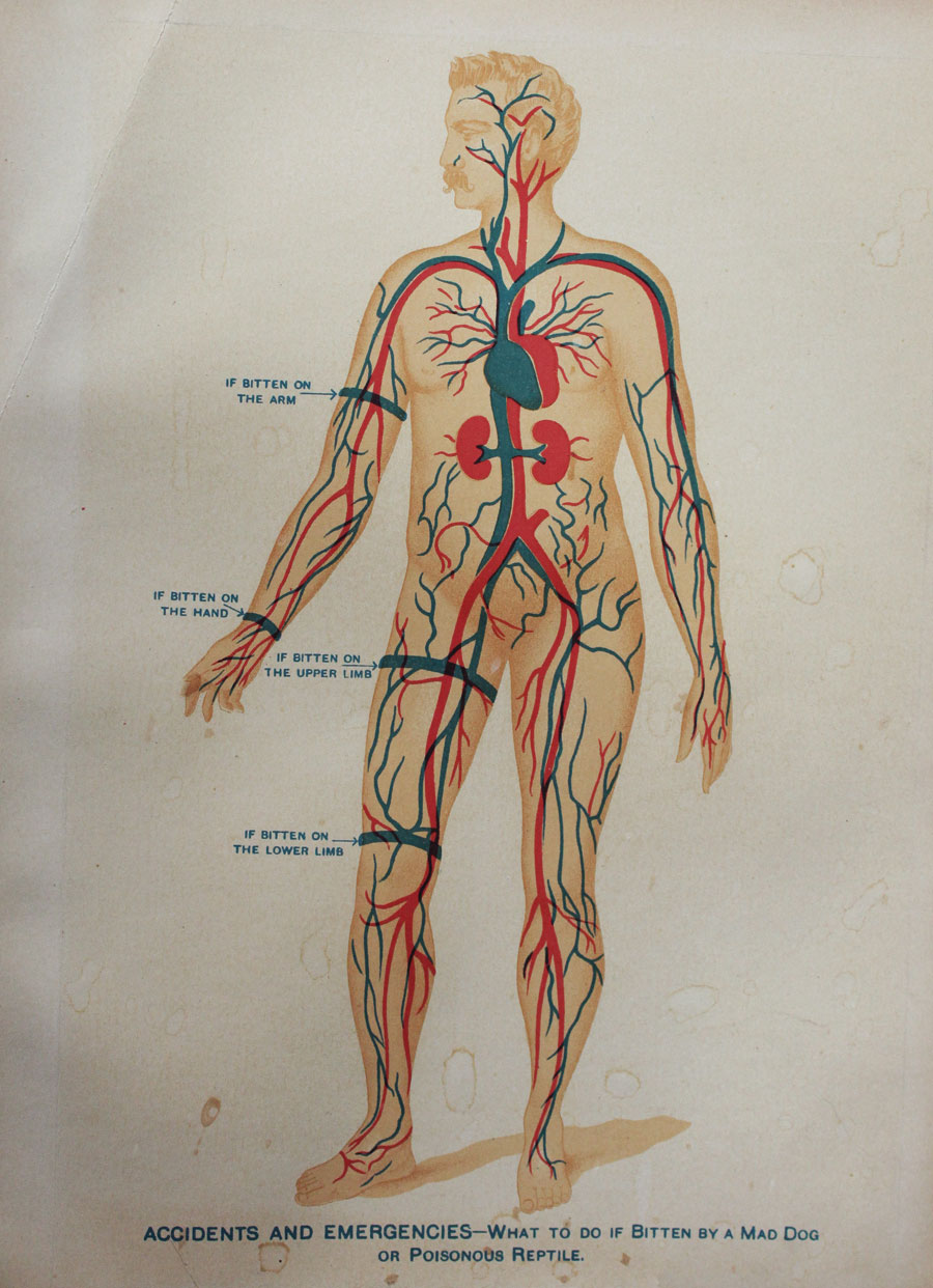Medical Paraphernalia
