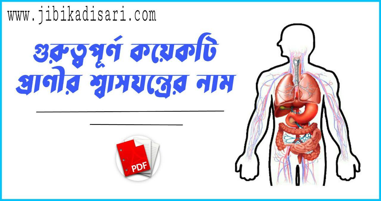 Pdf Name pdf-name