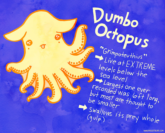 My Zoetrope: 072: Dumbo Octopus
