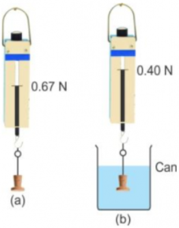 Selina Chapter 5 Upthrust in Fluids, Archimedes Principle and ...