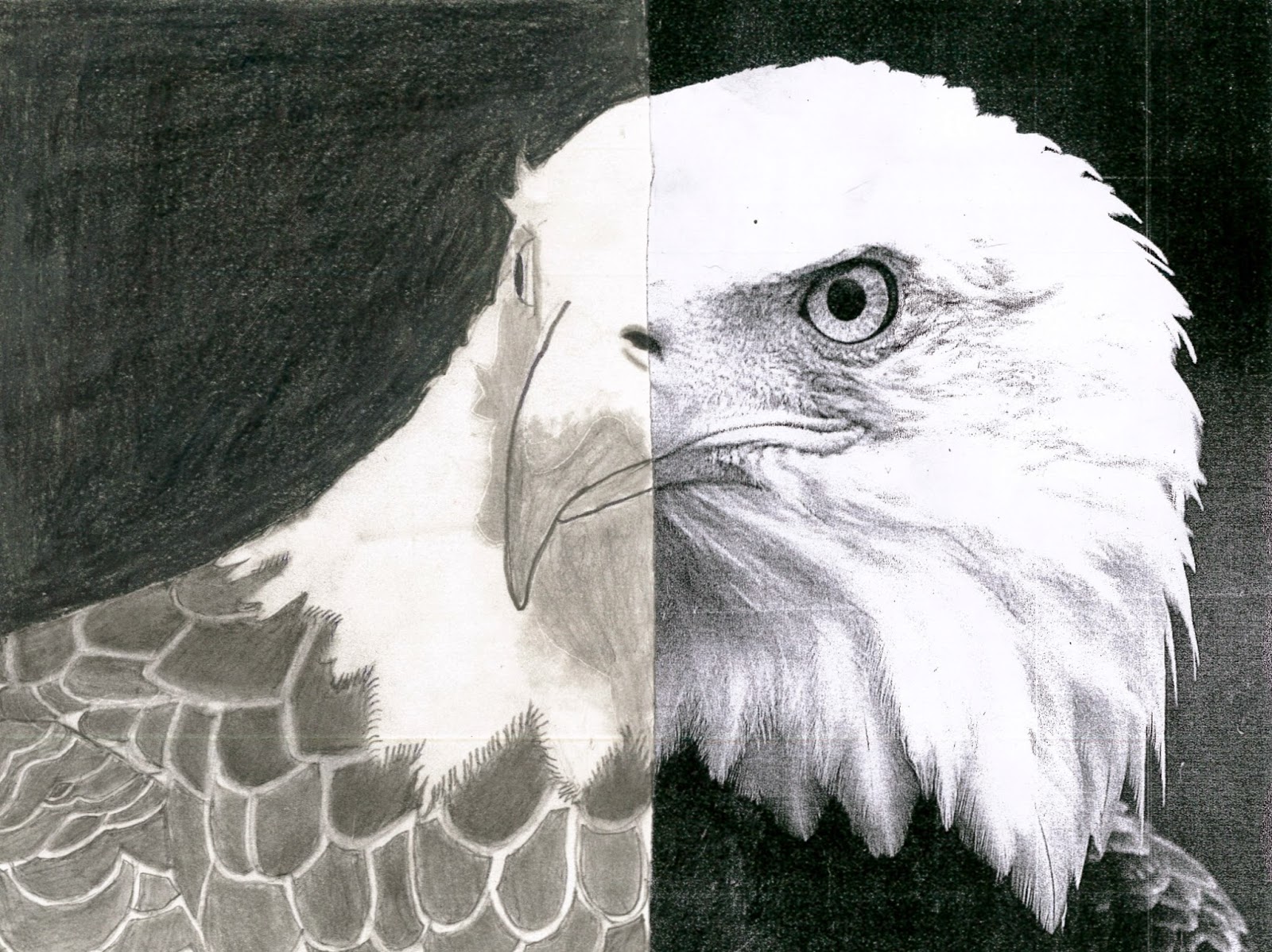 the art classroom: The Other Half (Intro to Art Drawing Assignment)