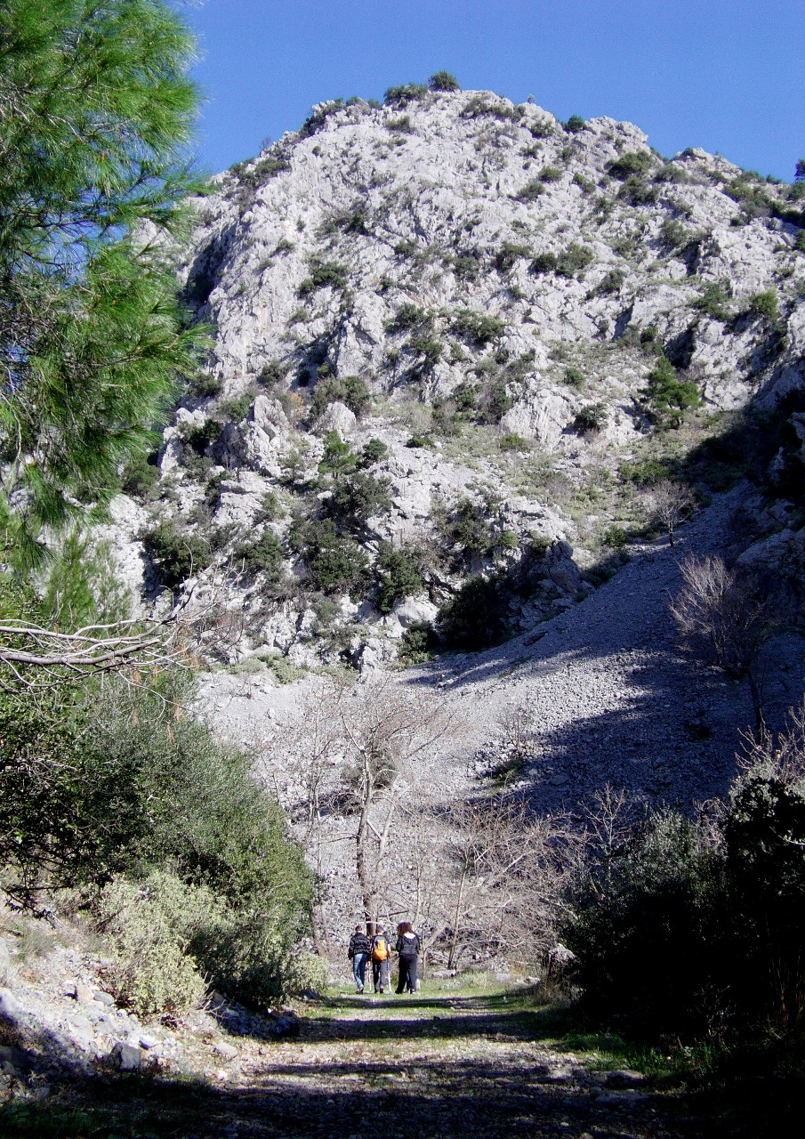 ΜΑΘΗΤΙΚΗ ΠΑΡΡΗΣΙΑ: ΣΤΟ ΦΑΡΑΓΓΙ ΤΗΣ ΑΓΑΛΗΣ