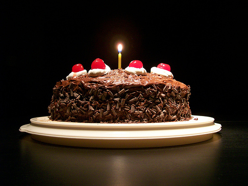 STEAMD First Anniversary STEAMD First Anniversary
