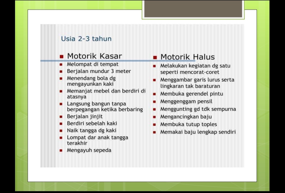 Perkembangan Motorik Kasar dan Halus Pada Anak Usia 2-3 Tahun